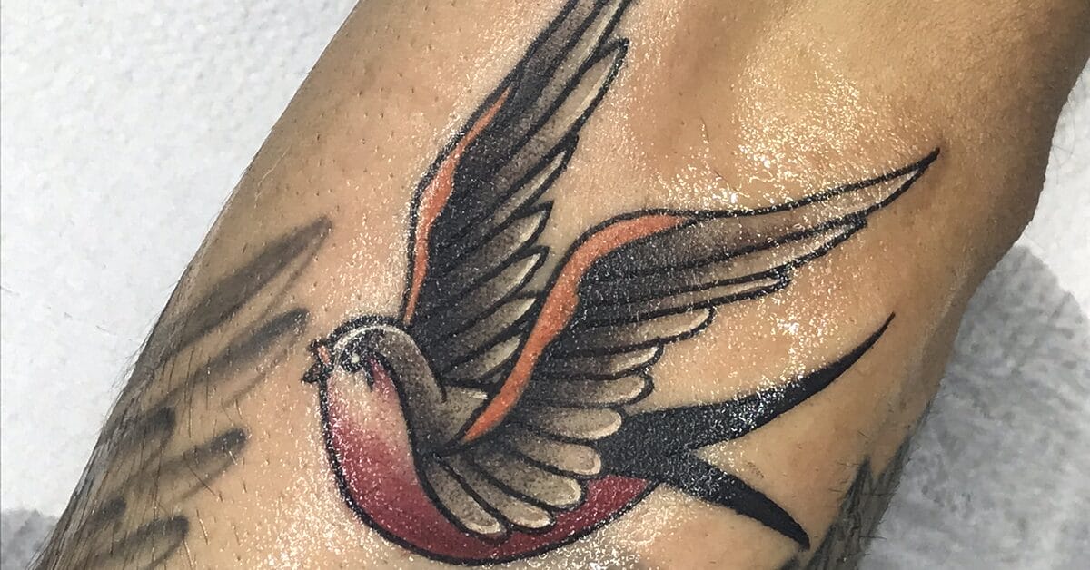 Swallow Bird Flying Black & Gray With Red Color Tattoo By Rene ...
